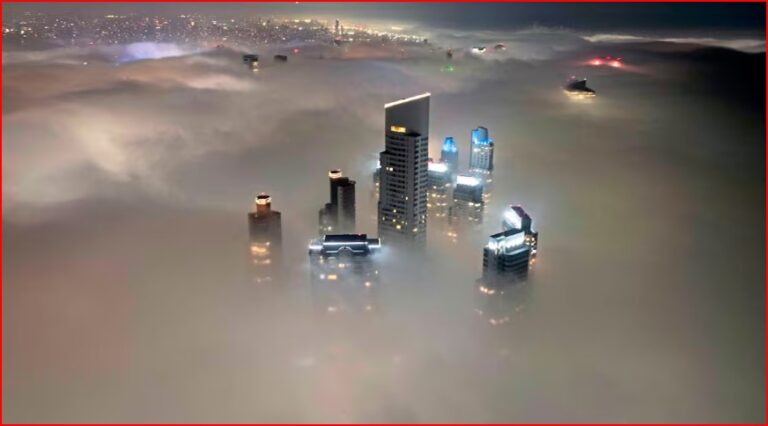 Alerta violeta por niebla en Buenos Aires: advierten por visibilidad ...